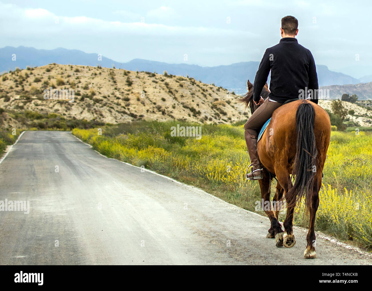 Rear view horse rider hi-res stock photography and images - Alamy