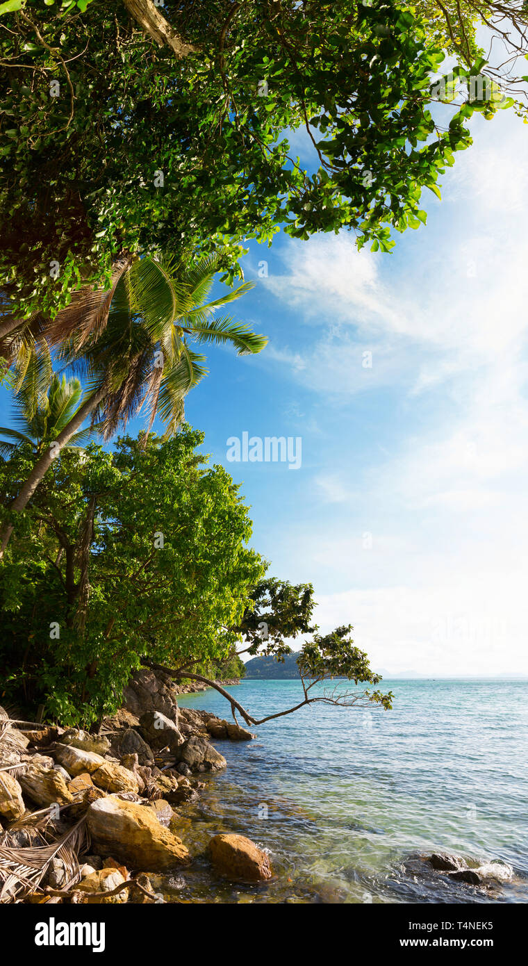 Tropical coast vertical panorama Stock Photo - Alamy