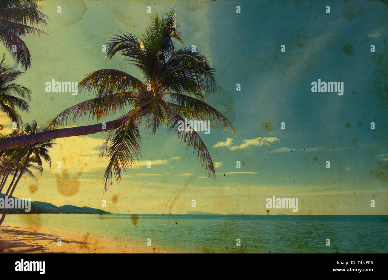 Tropical card hi-res stock photography and images - Alamy