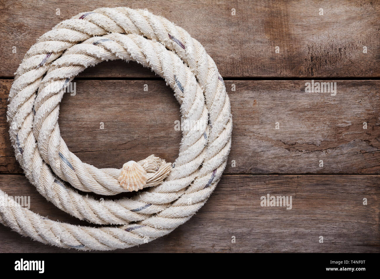 Shell wood timber sea hi-res stock photography and images - Alamy