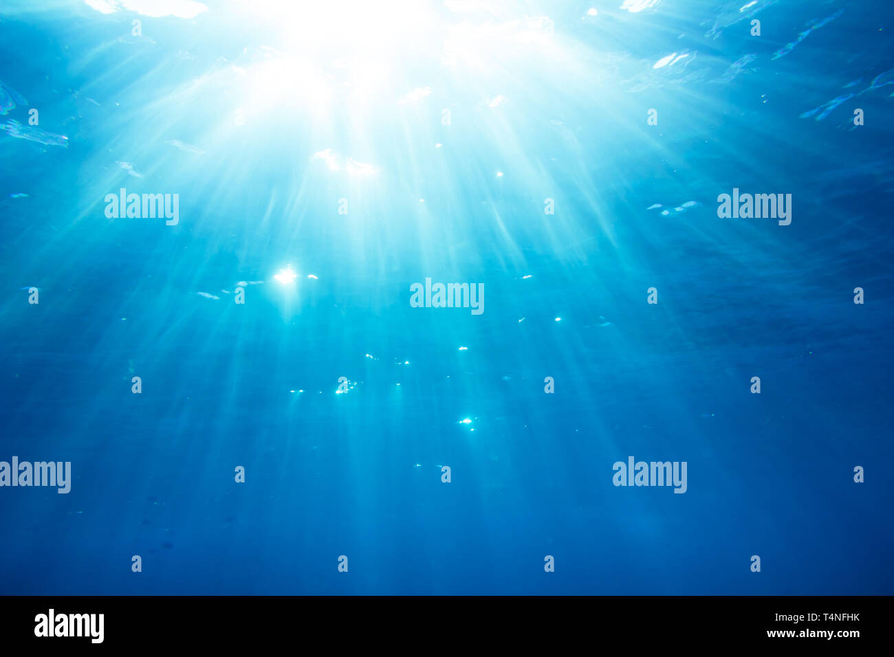 Underwater shot with sunrays and fishes in deep tropical sea Stock ...