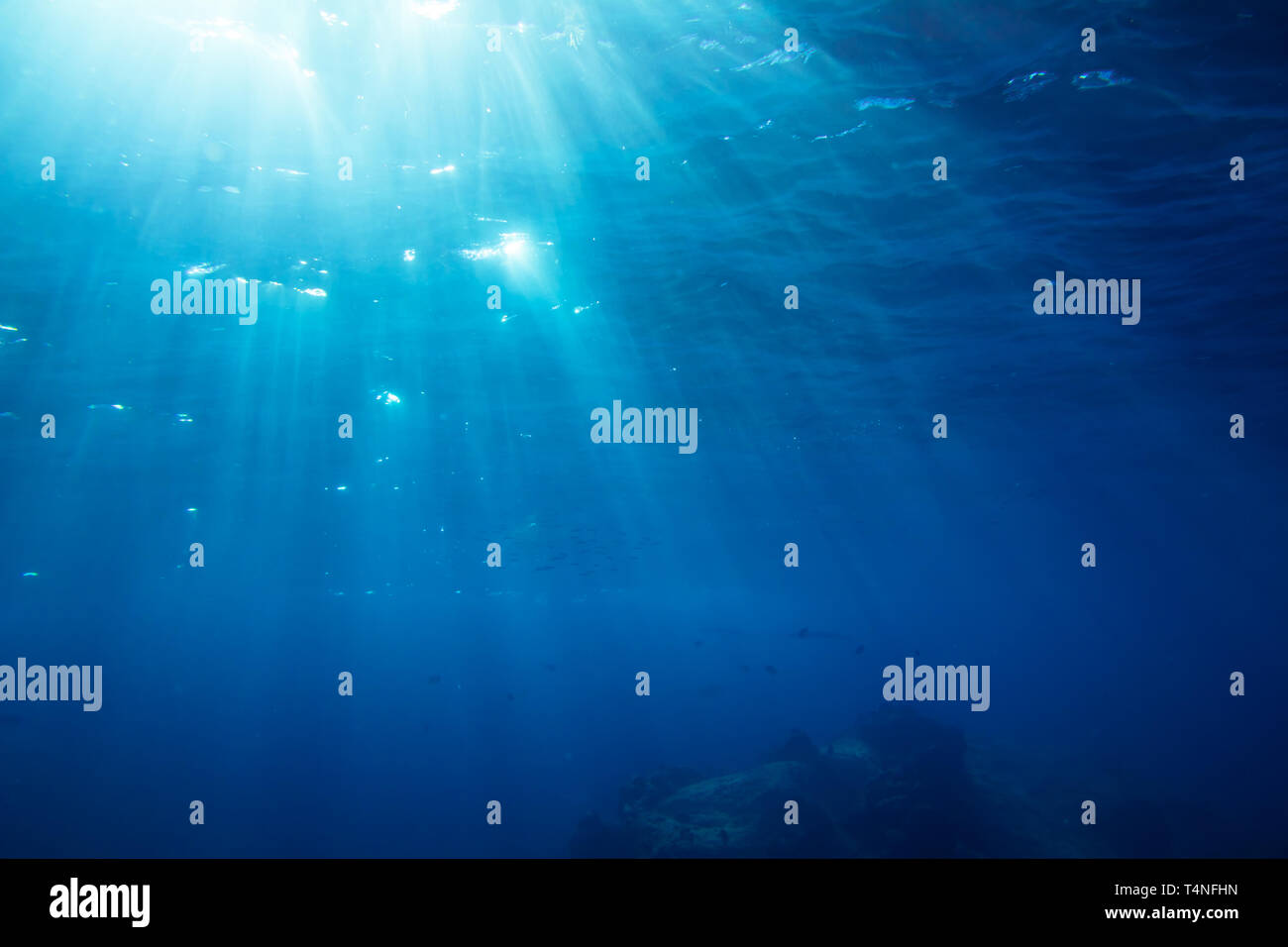 Underwater shot with sunrays and fishes in deep tropical sea Stock ...