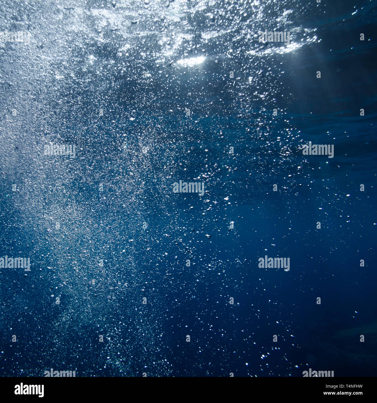 Underwater bubble shot in deep blue tropical sea Stock Photo - Alamy