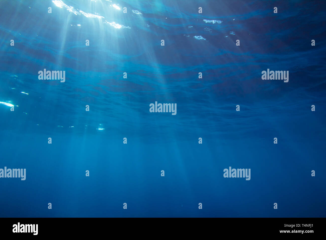 Underwater shot with sunrays in deep tropical sea Stock Photo - Alamy