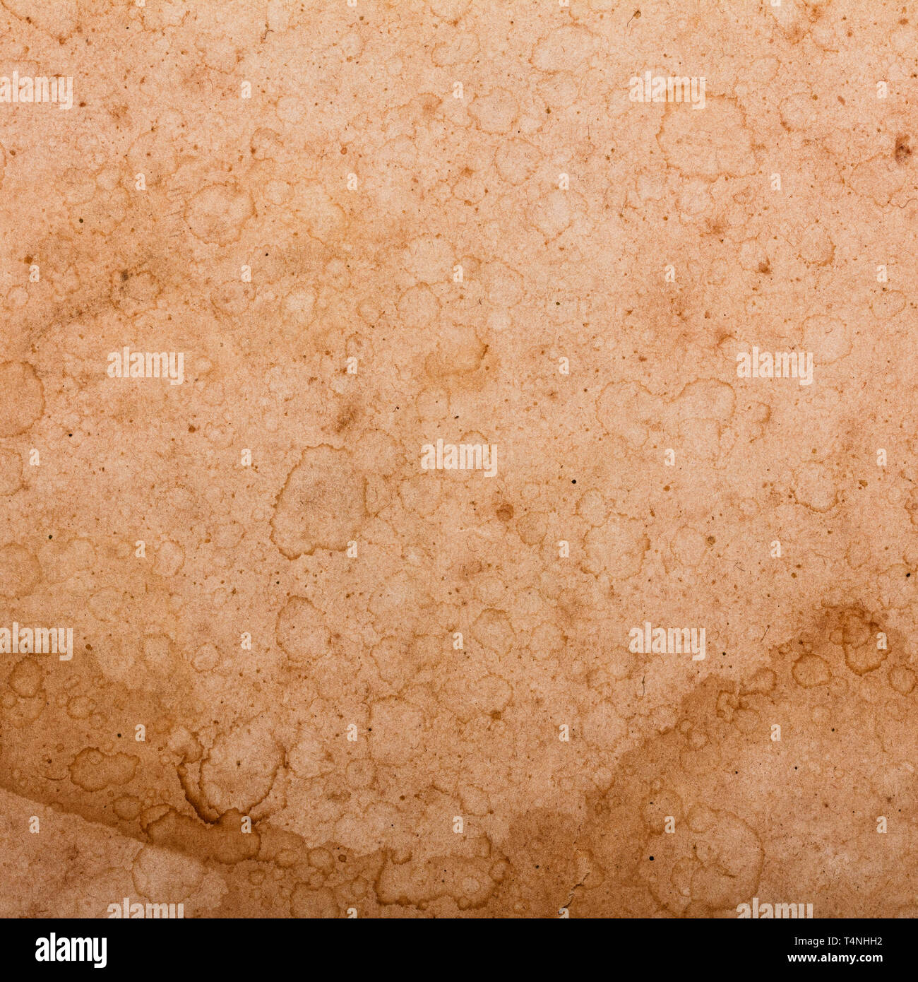 Old yellowed paper texture, highly detailed Stock Photo - Alamy