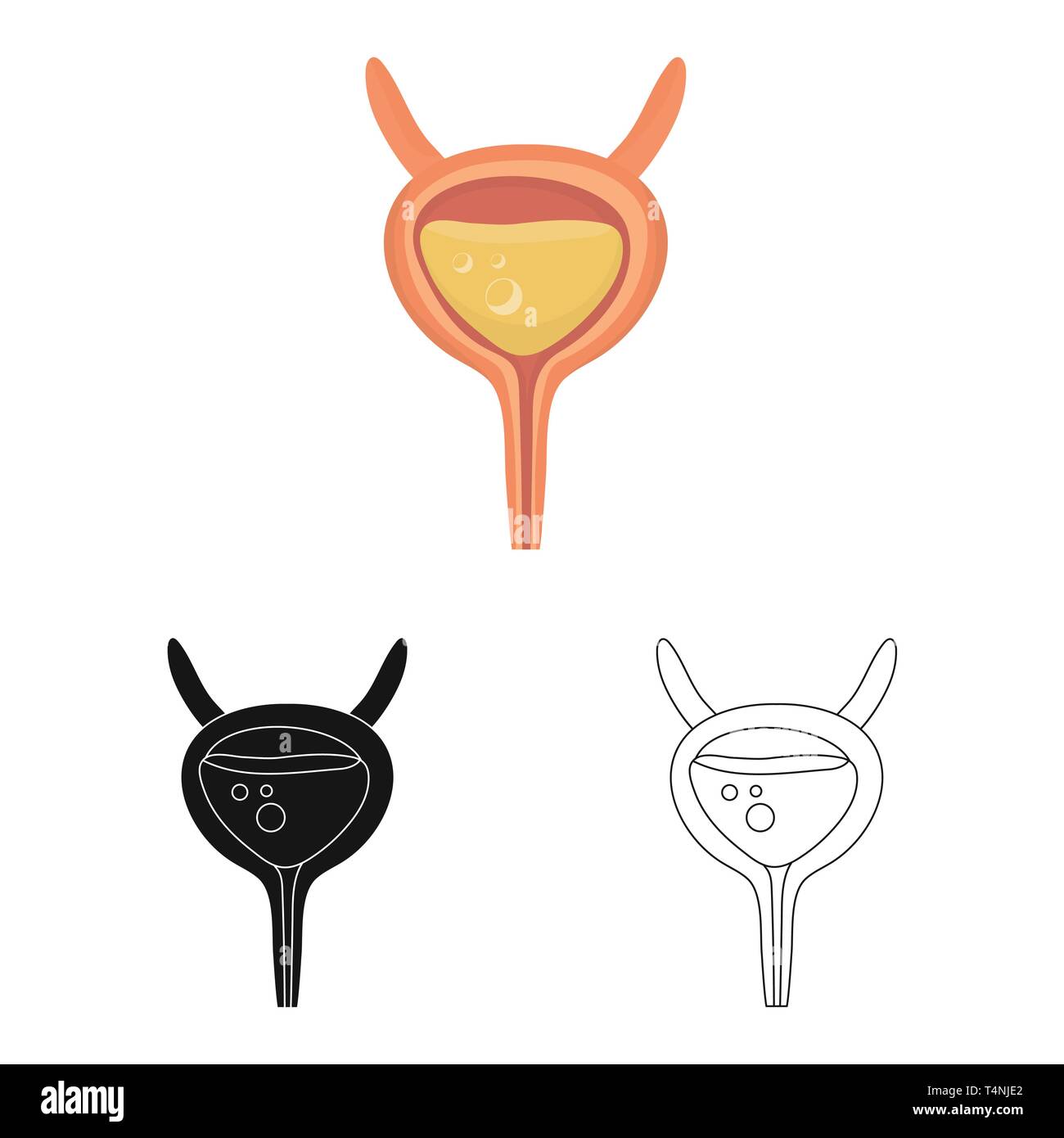Isolated object of incontinence and bladder icon. Set of incontinence ...