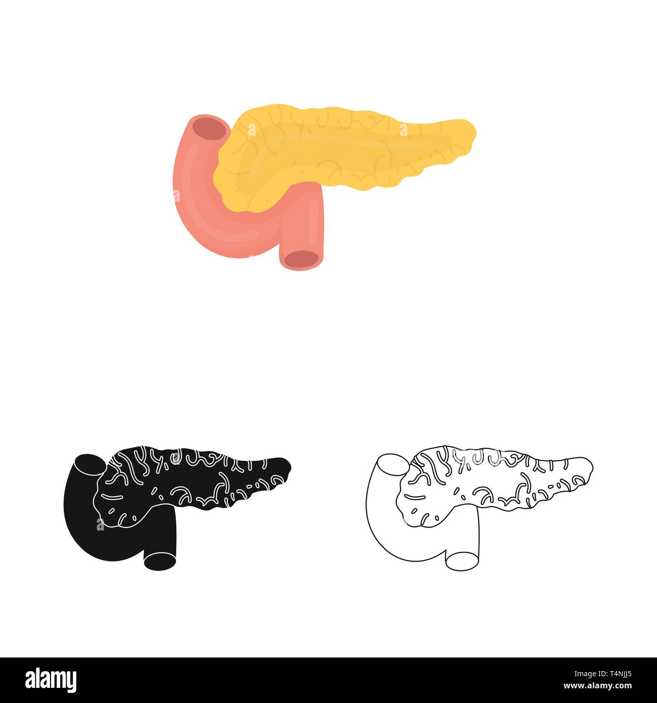 Vector illustration of pancreas and organ sign. Collection of pancreas ...