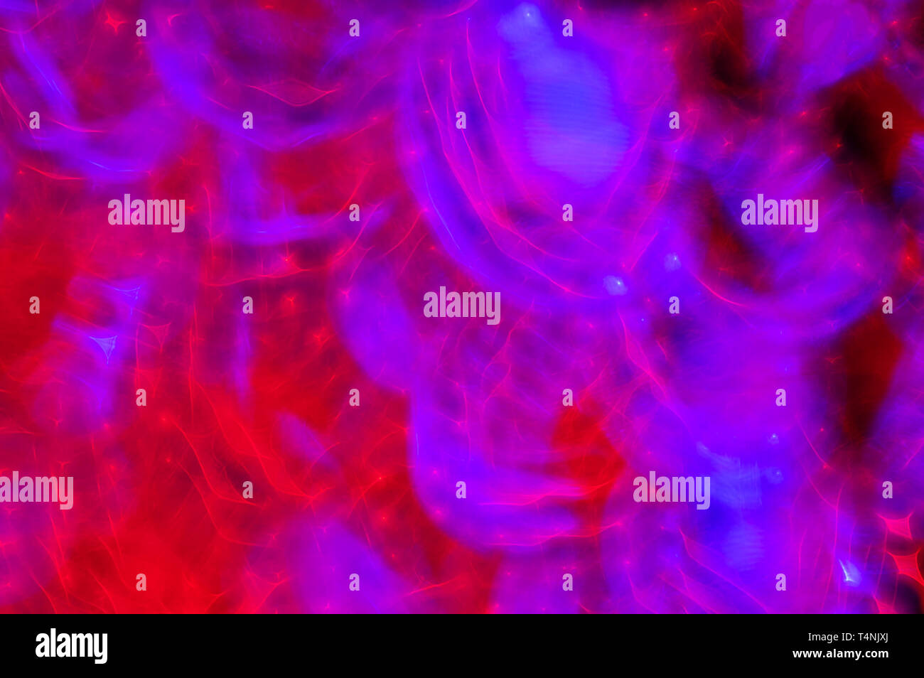 Abstract LED background. Neon light. Abstract background with neon glow ...