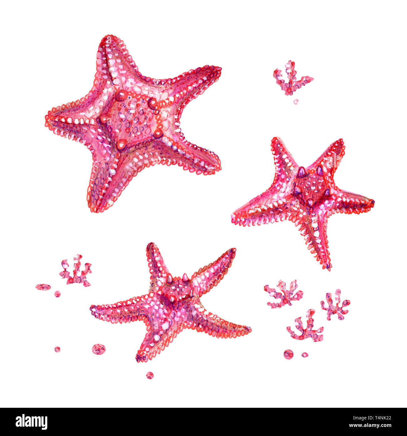 The composition of the three sea stars. Isolated pink starfish and ...