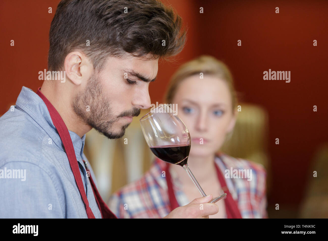 winery team tasting wine Stock Photo - Alamy