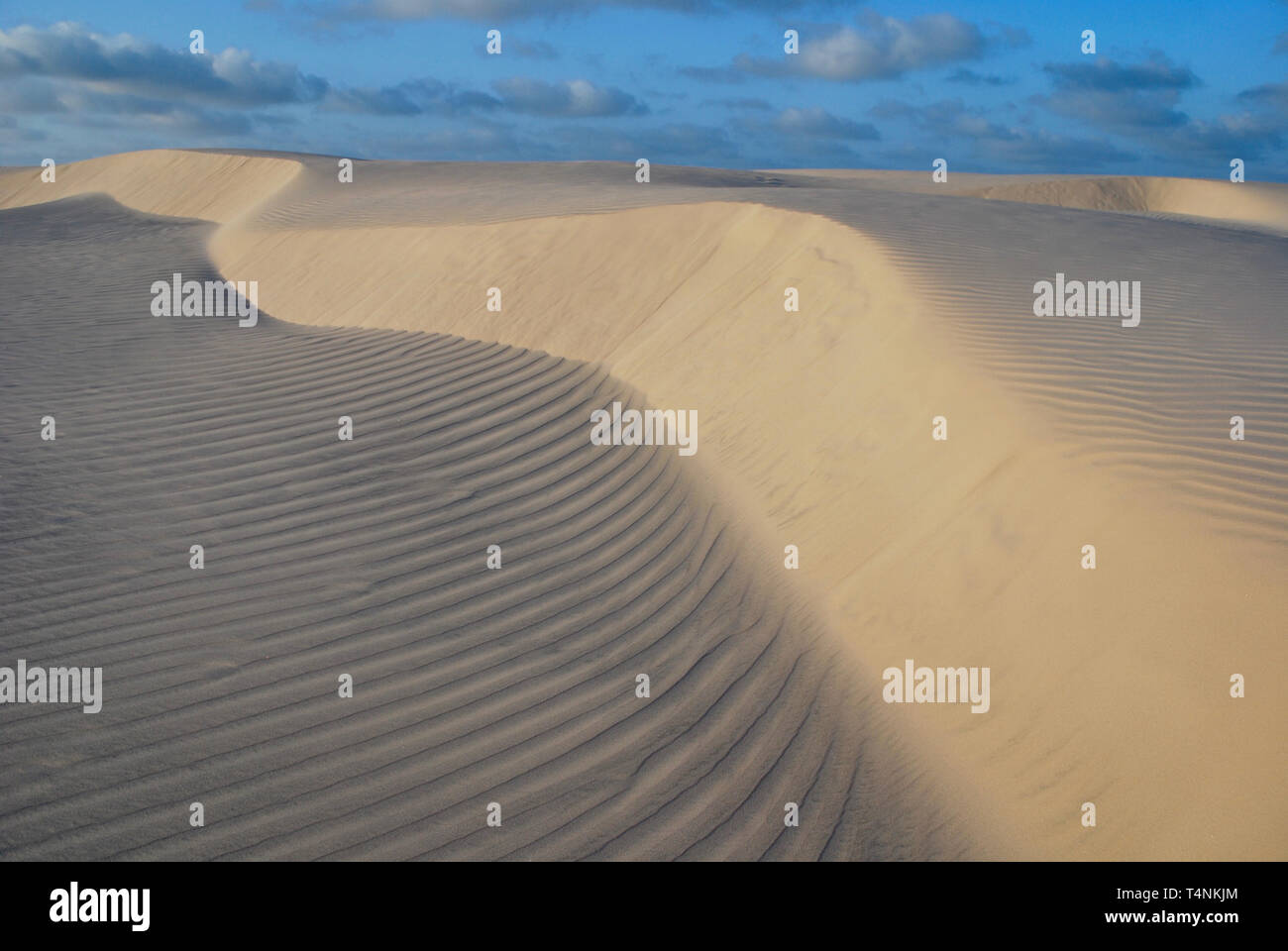 Summer scene dunes on beach hi-res stock photography and images - Alamy