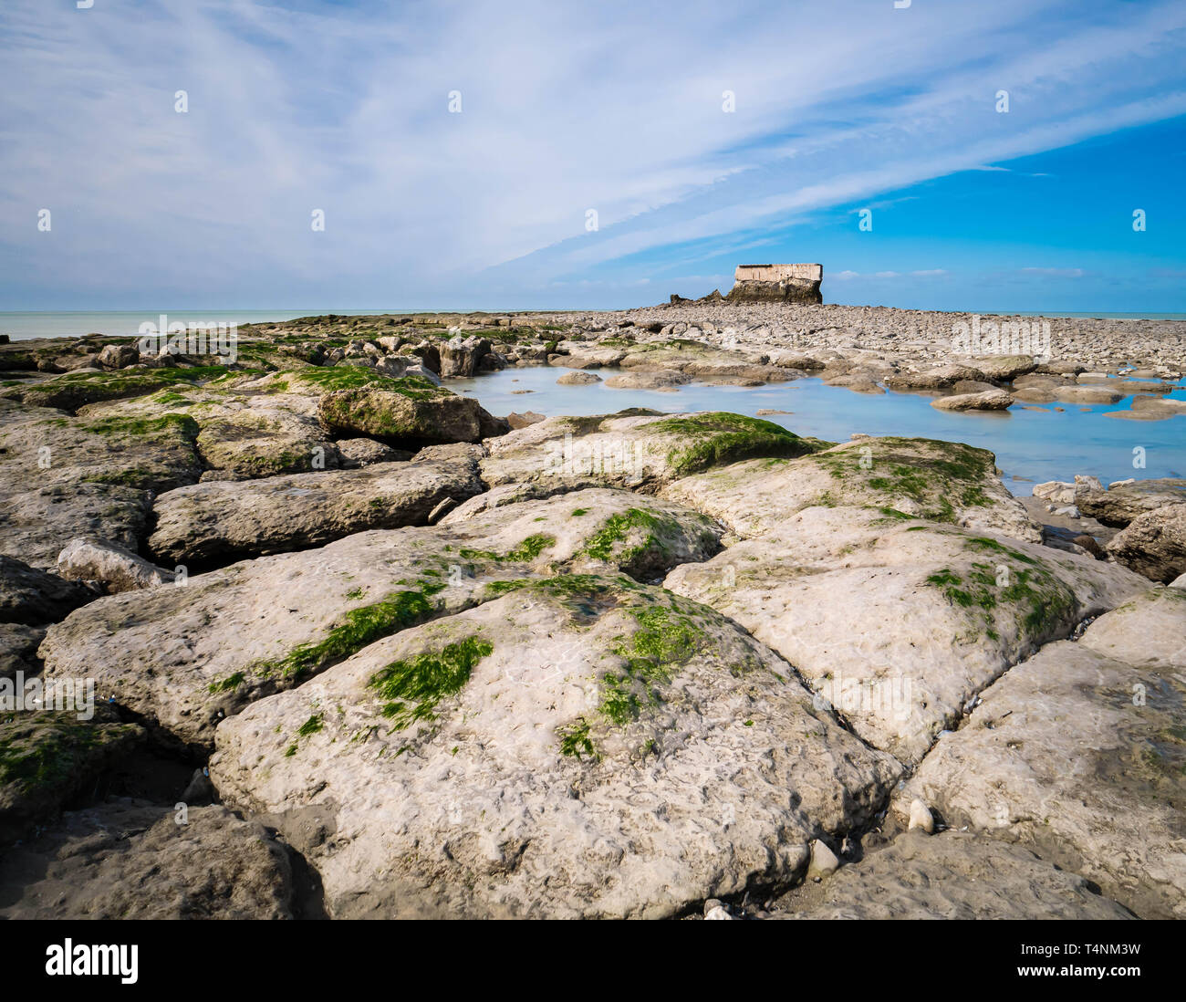 Huge seaweed covered rocks on the beach with an ancient fort in the ...