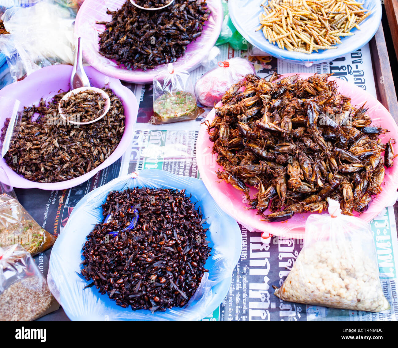 fried insects and crickets as delicacy on a market in northern Thailand ...