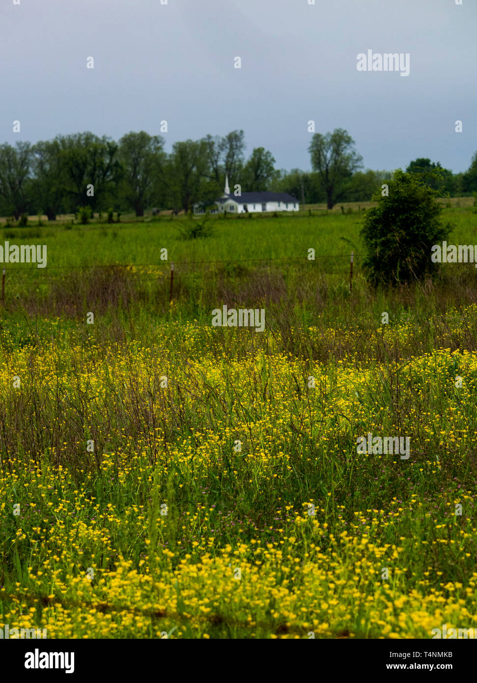 Bossier hi-res stock photography and images - Alamy