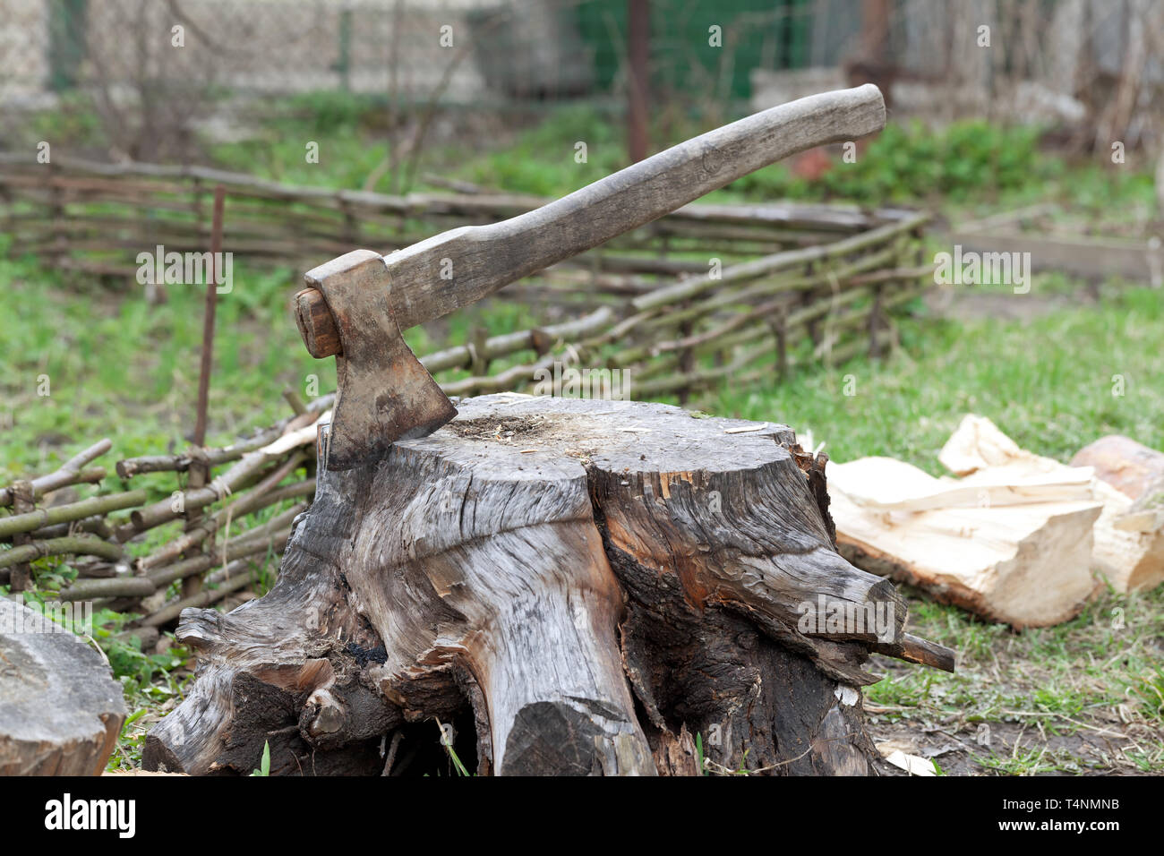 Tree stump with old axe on cottage glade at summer day Stock Photo - Alamy