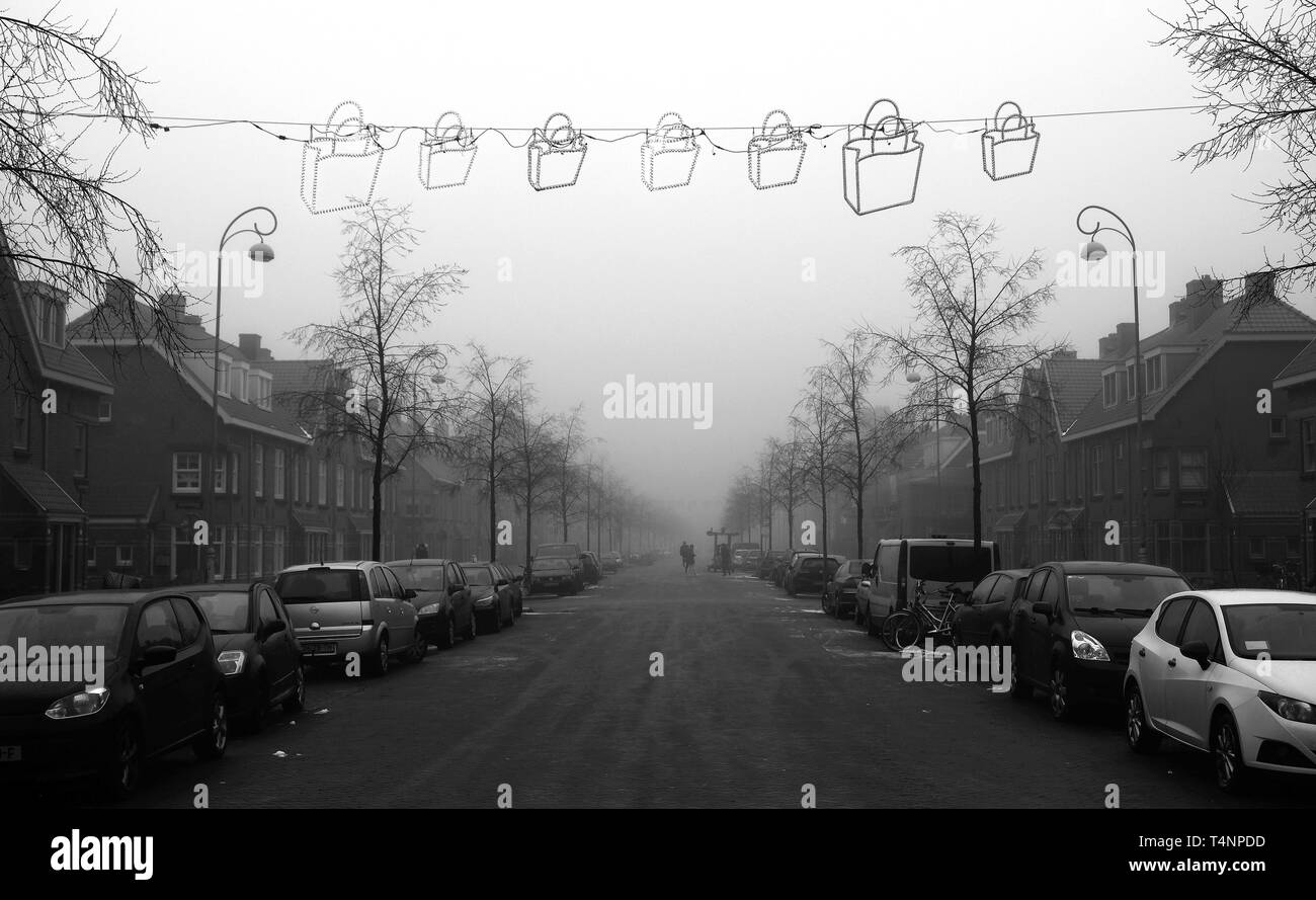 Christmas lights on a street in the mist in winter Stock Photo - Alamy