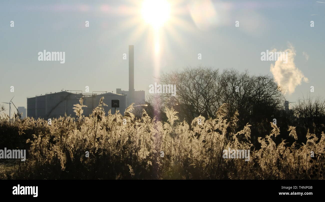 sun sets in a field next to industry in the winter Stock Photo - Alamy