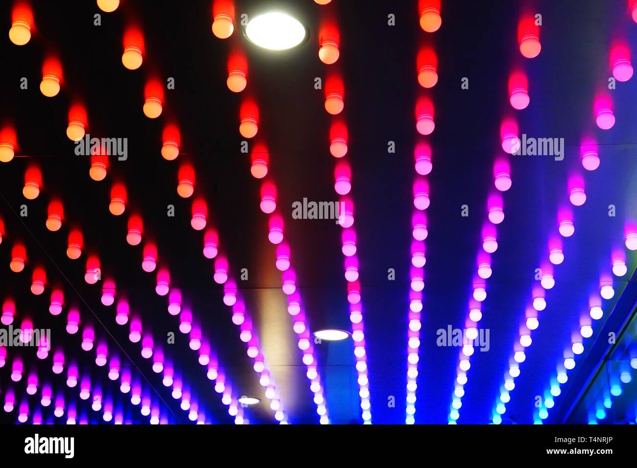 Circular neon lights in different patterns Stock Photo - Alamy