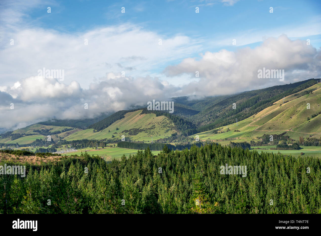 panoramic rural views of NZ agricultural and Farming land Stock Photo ...