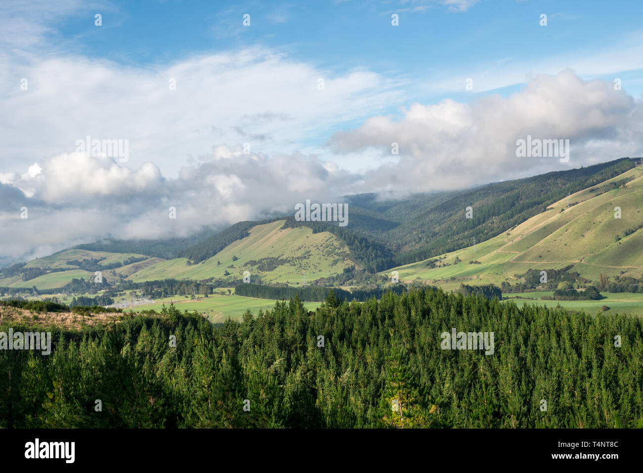 panoramic rural views of NZ agricultural and Farming land Stock Photo ...