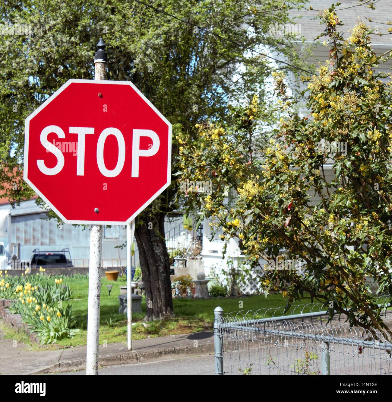 Stop sign on a pole in Brownsville, Oregon Stock Photo - Alamy