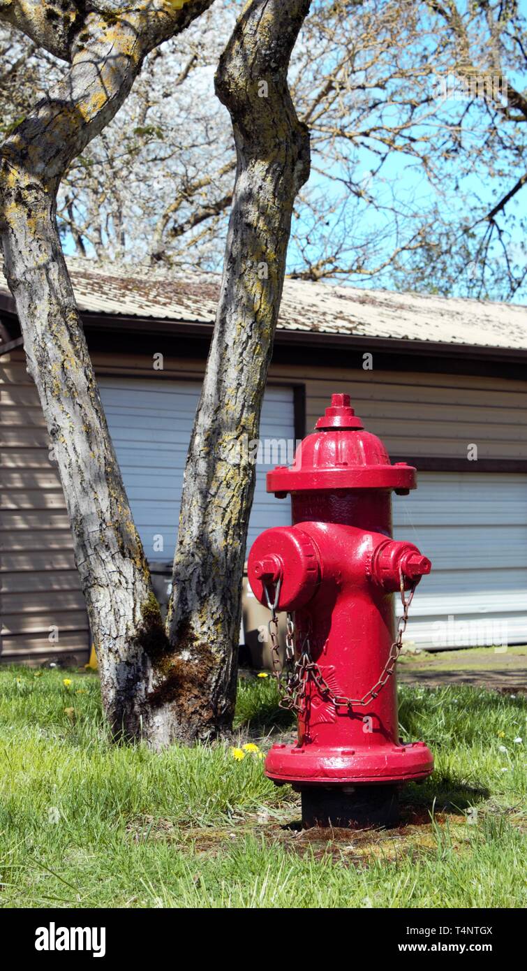 A red fire hydrant Stock Photo - Alamy