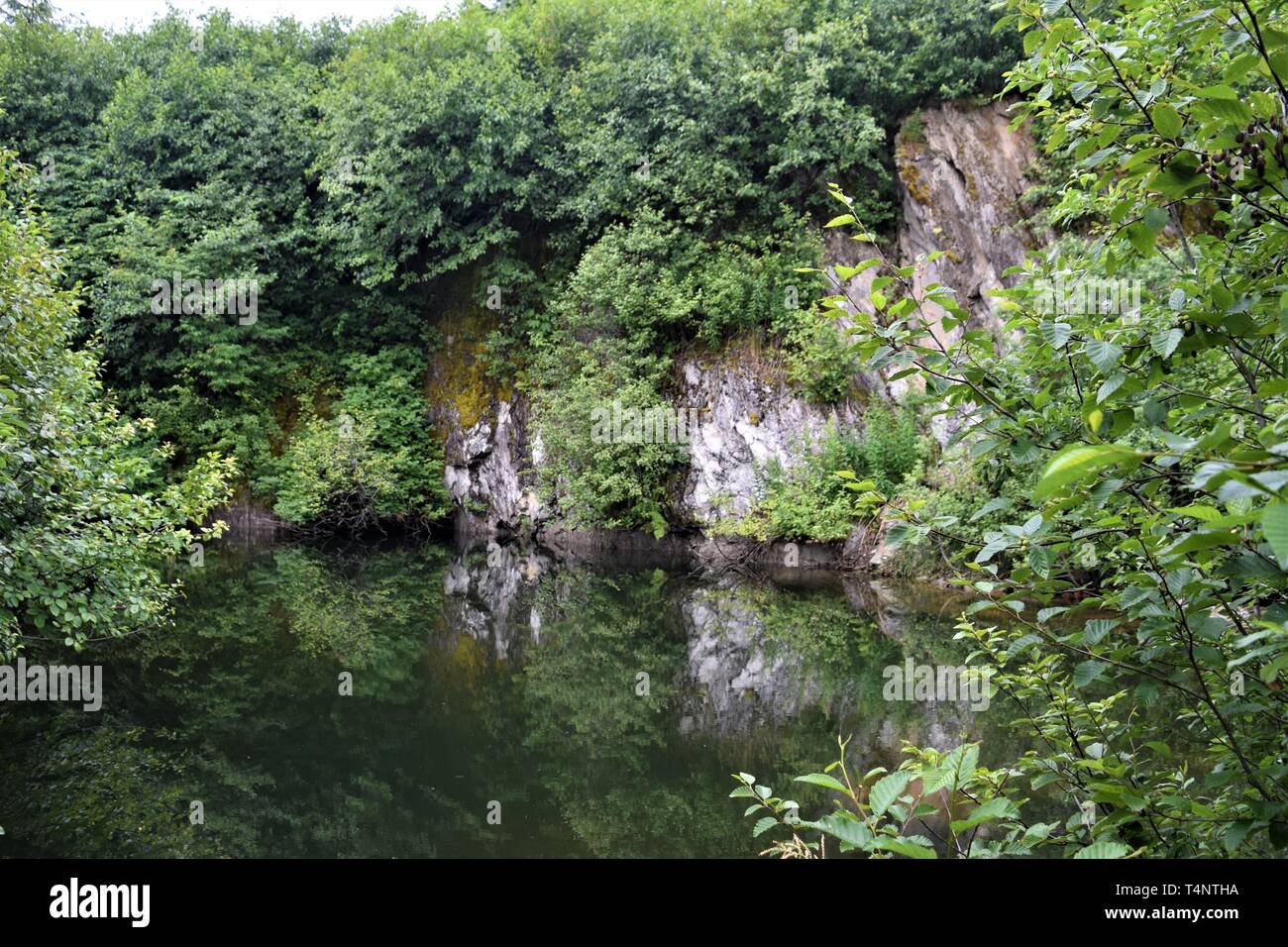 Beautiful greenery hi-res stock photography and images - Alamy