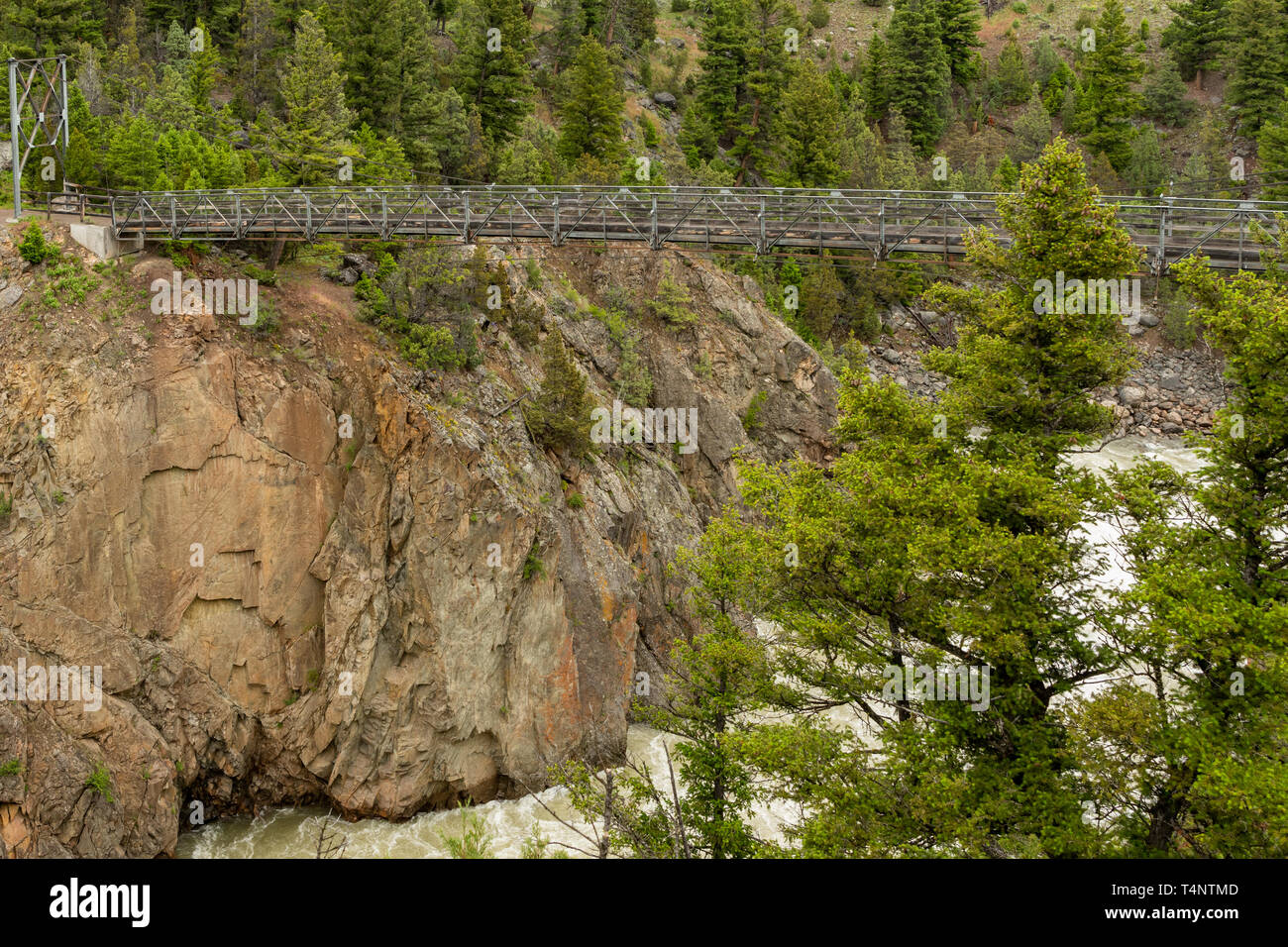 Suspension Bridge Over Hellroaring Creek in Canyon Stock Photo - Alamy