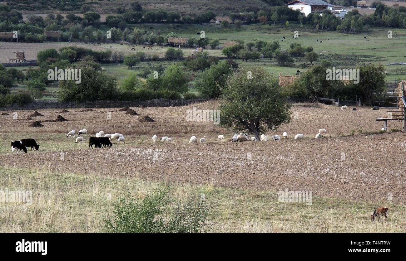 Including natural scenery hi-res stock photography and images - Alamy