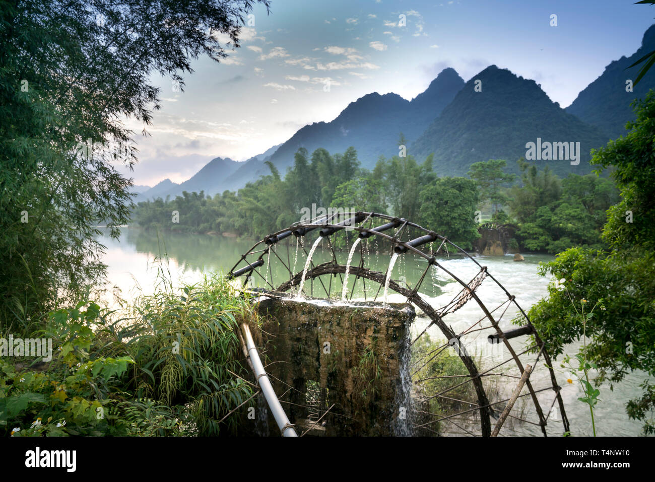 Bamboo water wheel gets water from the river to irrigate rice fields ...