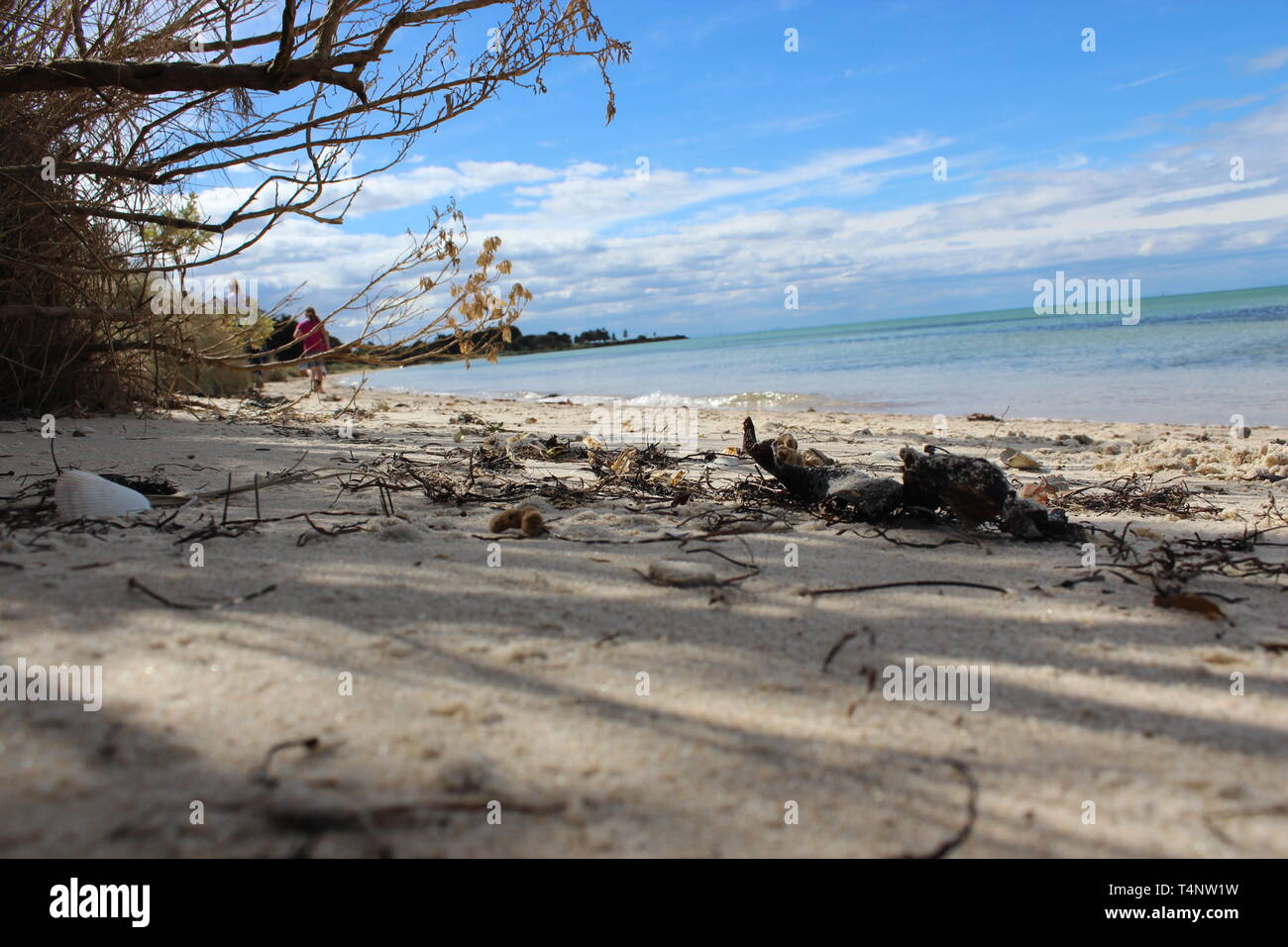 Untouched St Leonards beach Stock Photo - Alamy