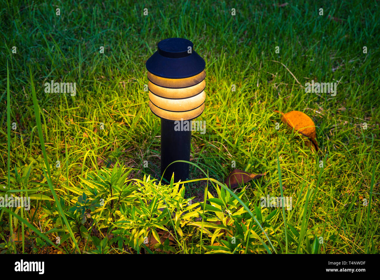 Small Garden Lamp on surrounded grass field Stock Photo - Alamy