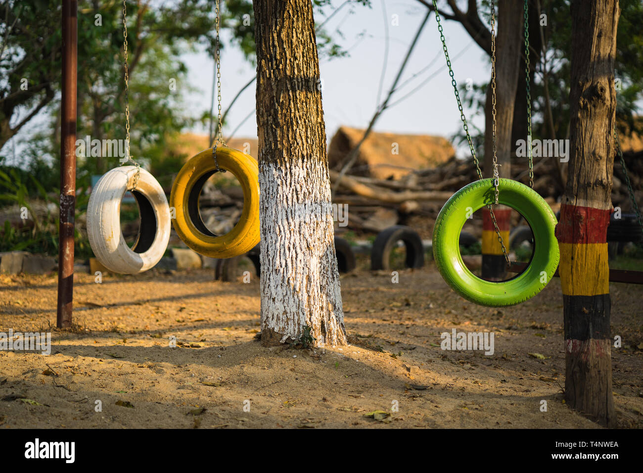 Color old car tire hanging on tree at playground Stock Photo - Alamy