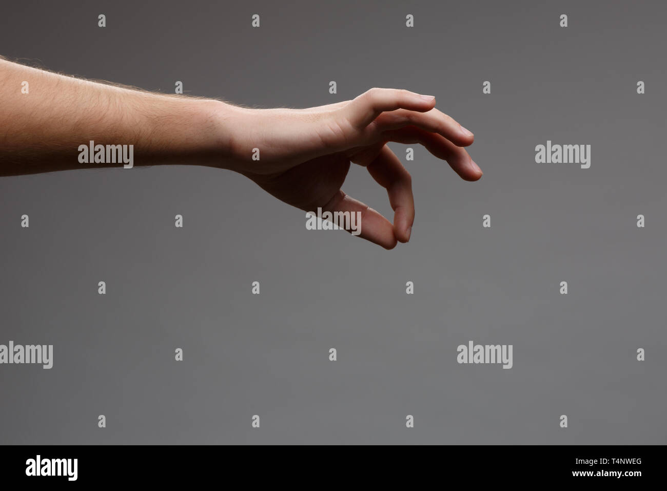 Two Hands Holding Nothing