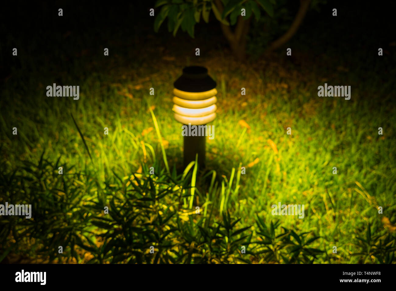 Small Garden Lamp on surrounded grass field Stock Photo - Alamy
