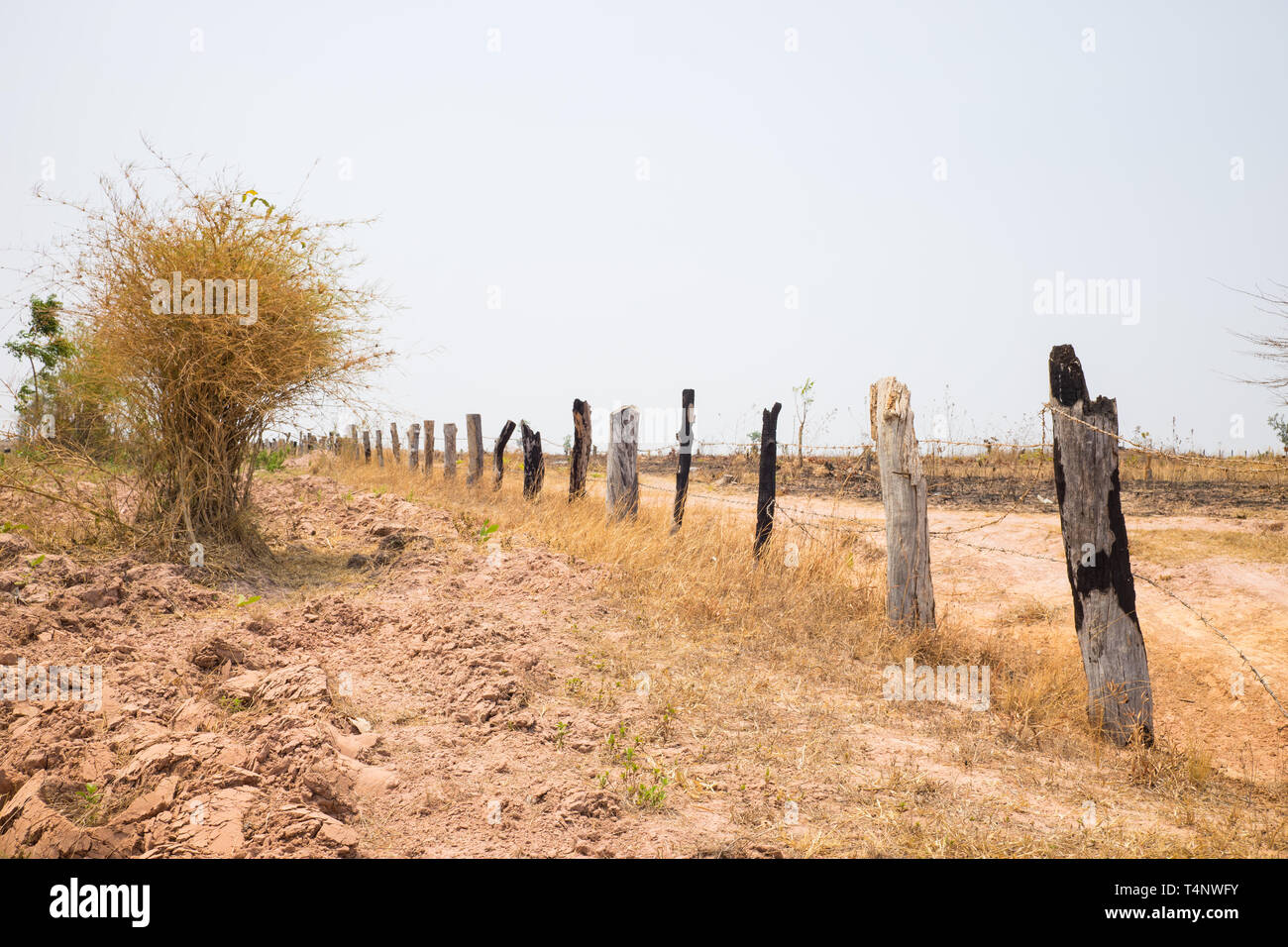 Fence made of wooden dry tree and metal wire in Tay Nguyen, Central ...
