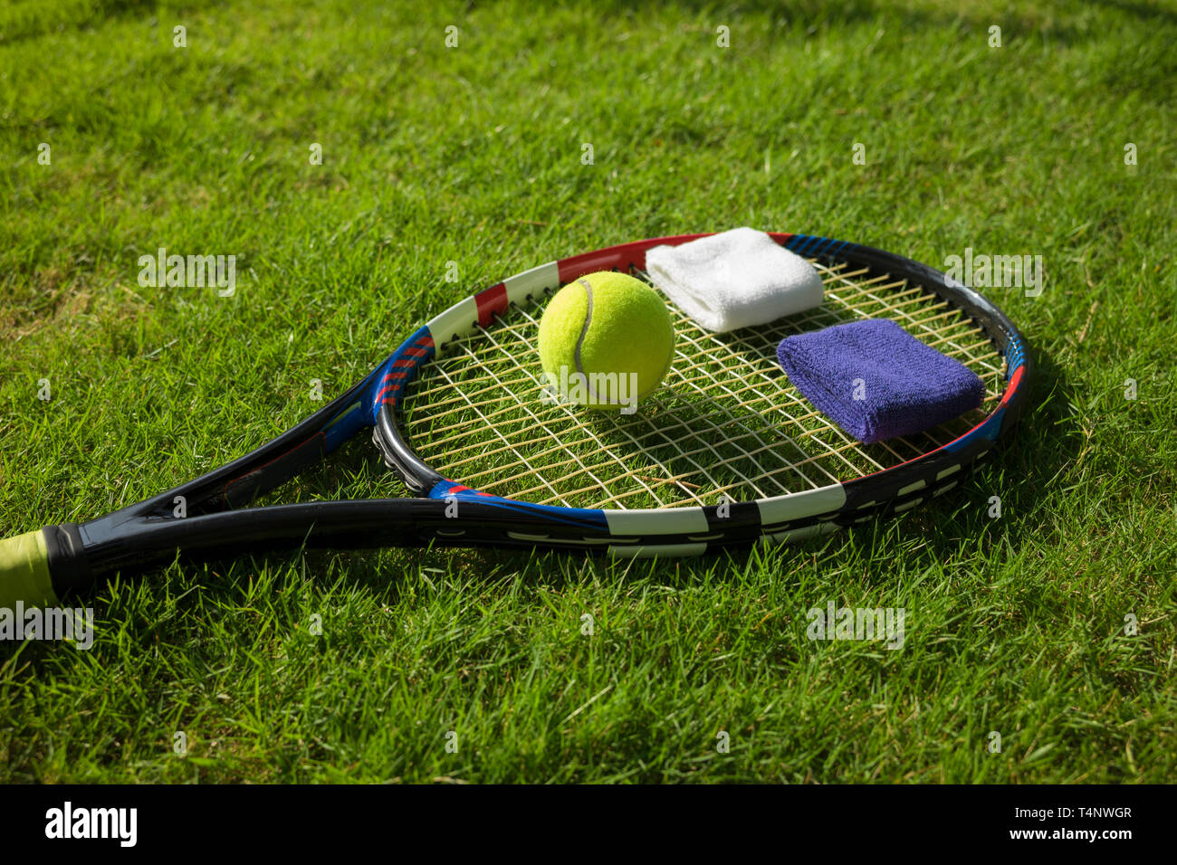 Tennis ball, racket and wristbands on grass field ground under sunlight ...