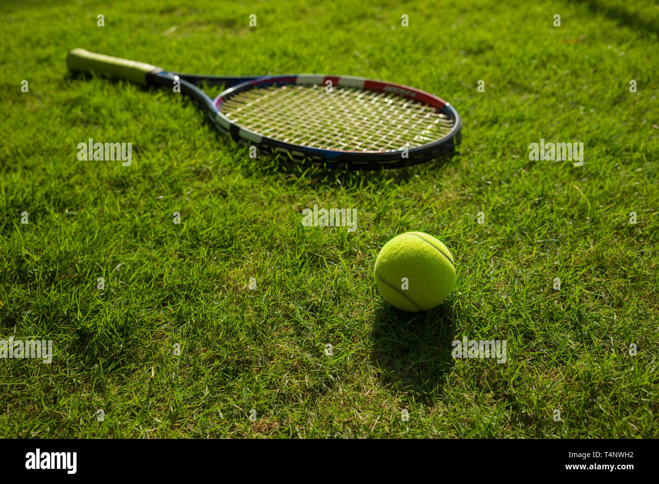 Tennis ball and racket on green grass field ground Stock Photo - Alamy