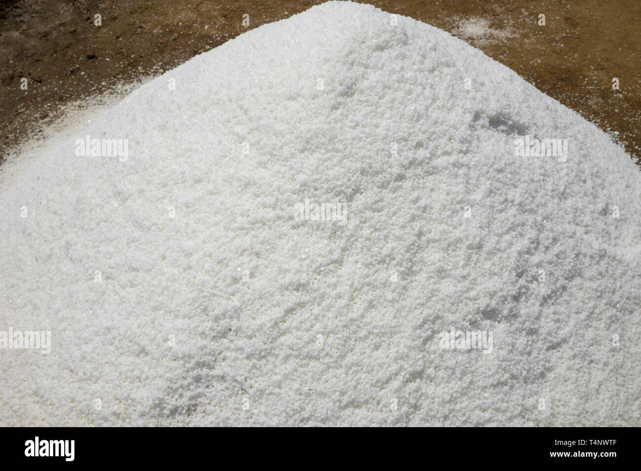 Crop salt soil hi-res stock photography and images - Alamy