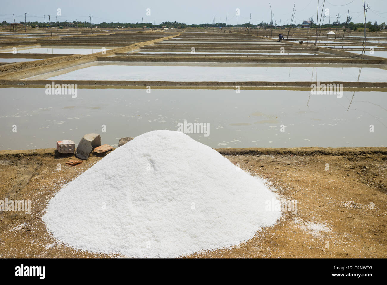 Sea salt produced on farm in Asia Stock Photo - Alamy