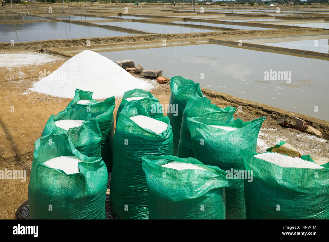 Sea salt produced on farm in Asia Stock Photo - Alamy