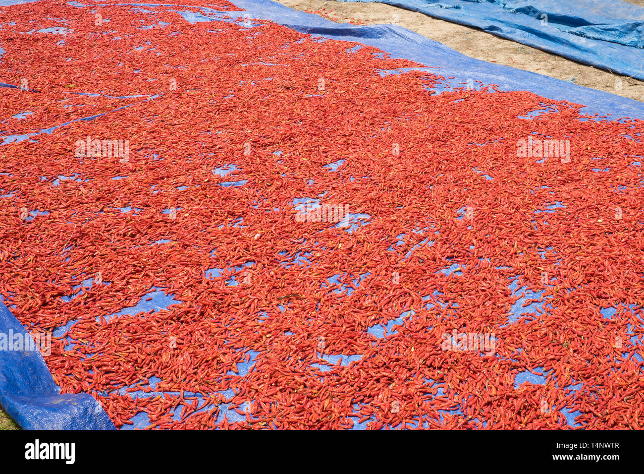 Naturally processed hi-res stock photography and images - Alamy