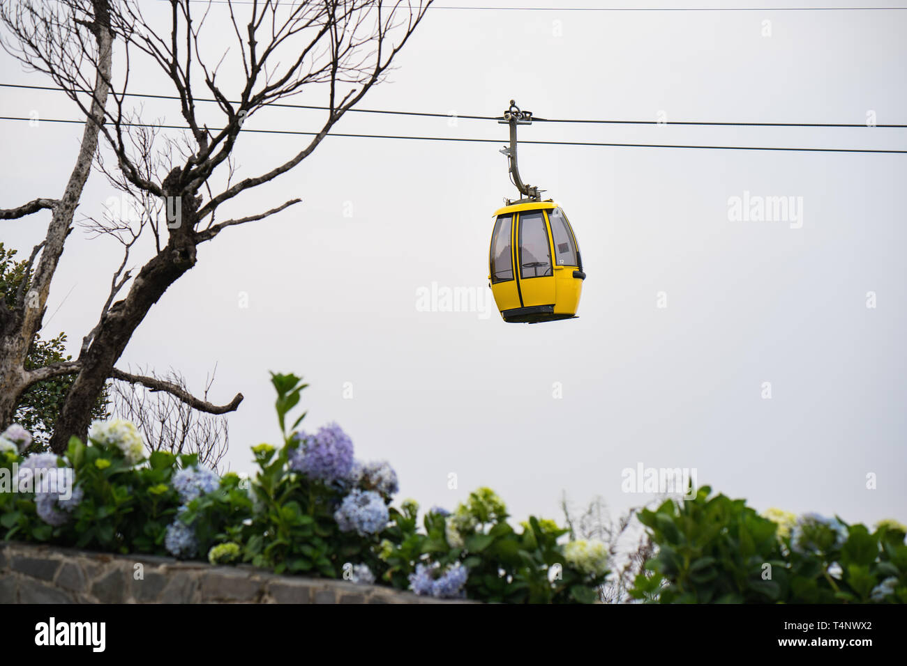 White car foreground hi-res stock photography and images - Alamy