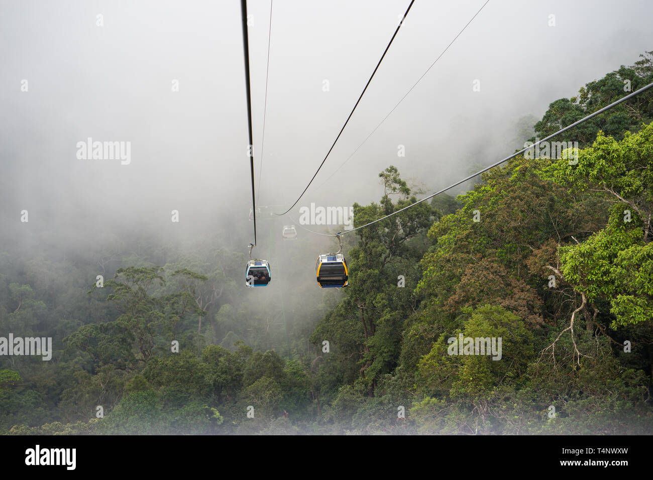 Cable car above green forest in misty clouds Stock Photo - Alamy