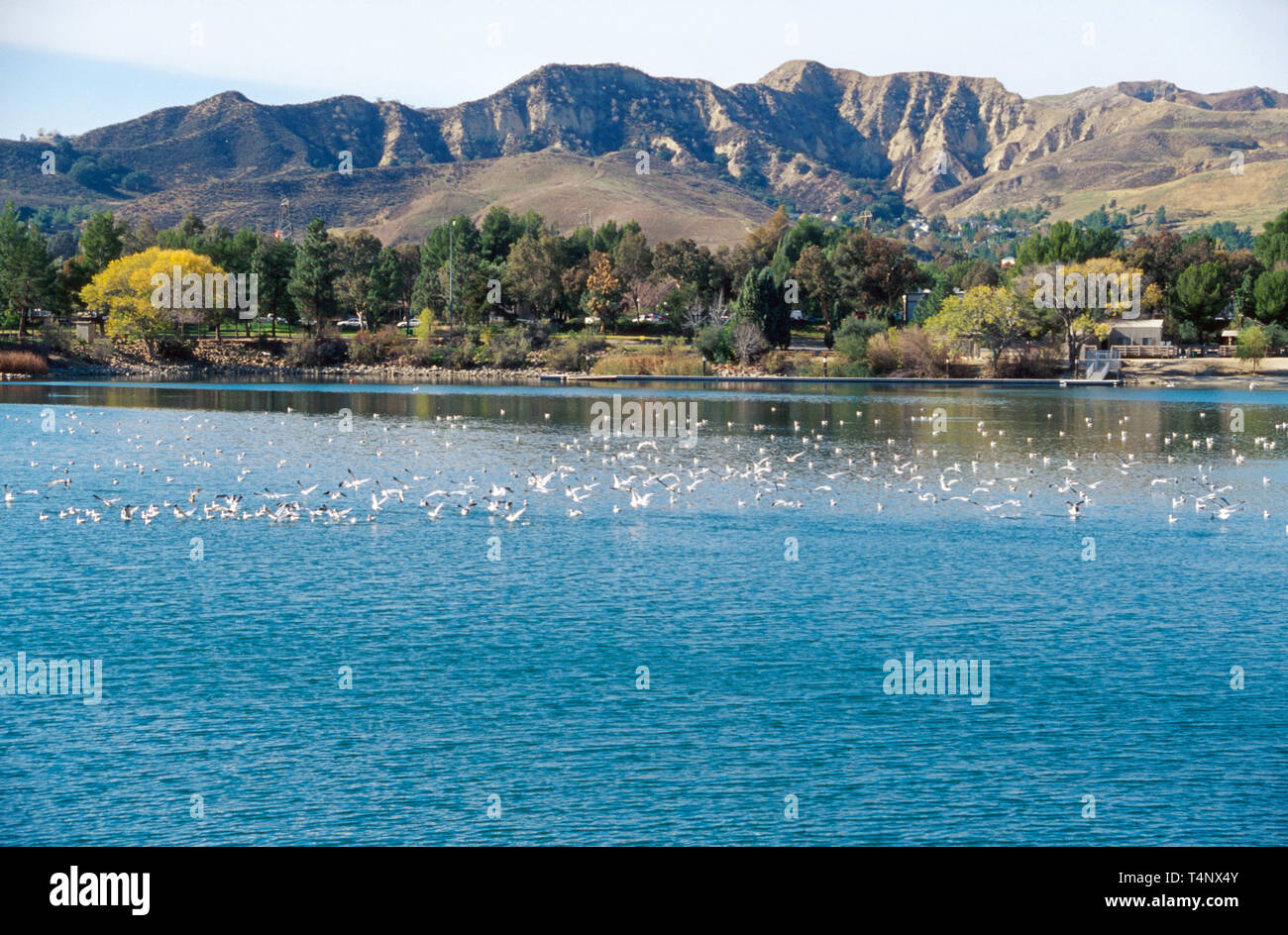Castaic lake state recreation area hi-res stock photography and images ...