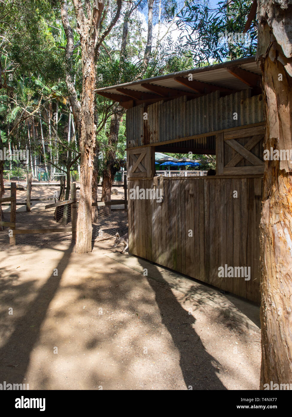 Wooden Hut Amongst The Trees At A Wildlife Reserve Stock Photo - Alamy