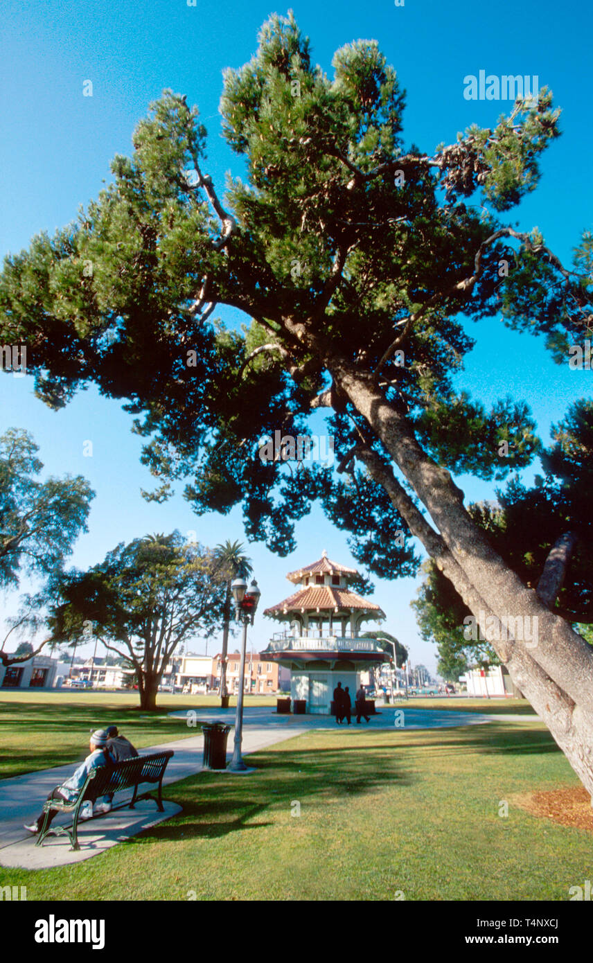 Oxnard California,Plaza Park,leaning pine tree trees,pagoda,bench ...
