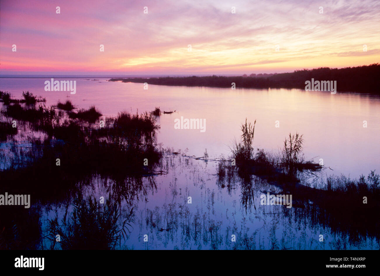 Mouth of santa clara river water hi-res stock photography and images ...
