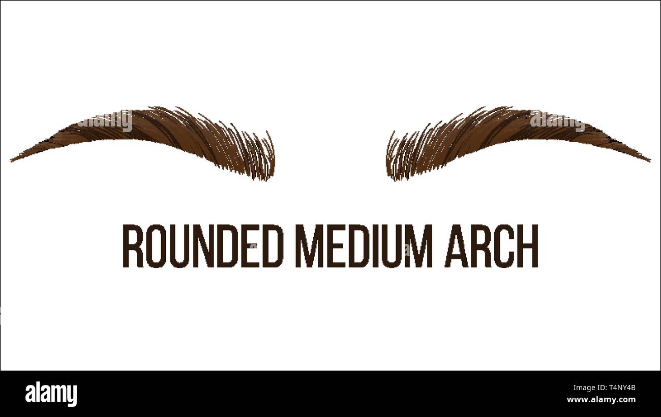 Rounded Medium Arch Vector Hand Drawn Brows Shape Stock Vector Image ...