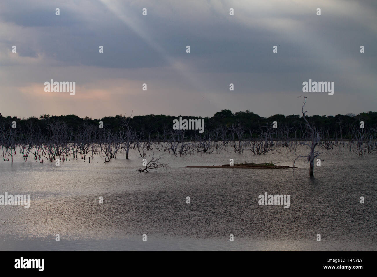 Weheragala Reservoir in Yala national park in Sri Lanka Stock Photo - Alamy